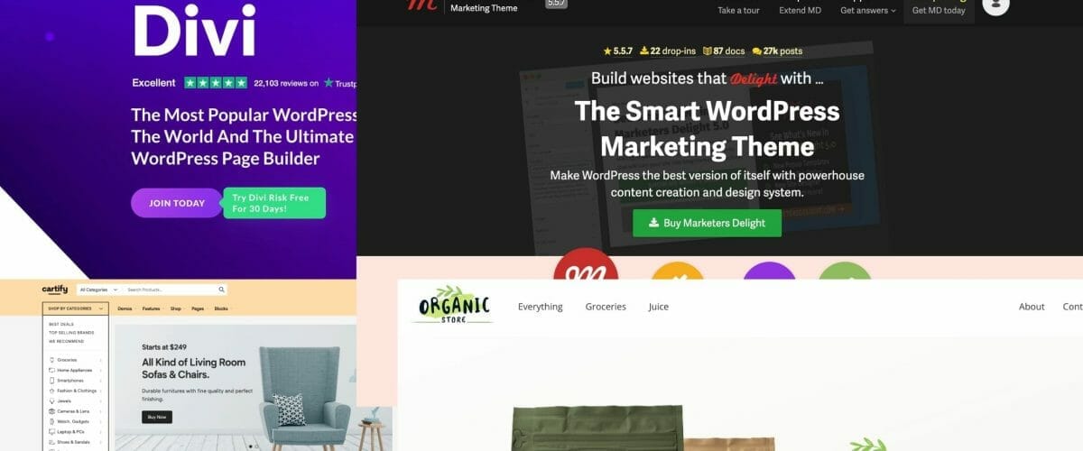 Best Genesis Themes & Plugins of 2024 and How to Use These?